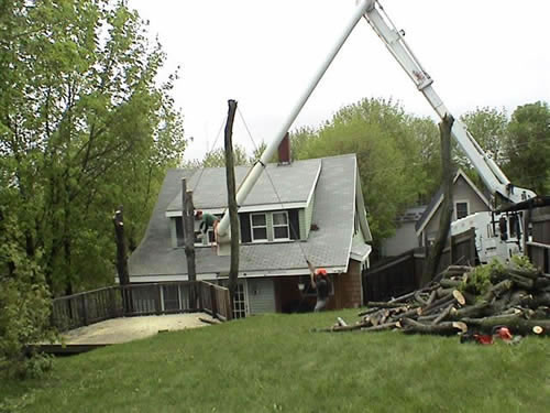 Photo of Maine Tree and Landscape residential tree removal Brewer, ME