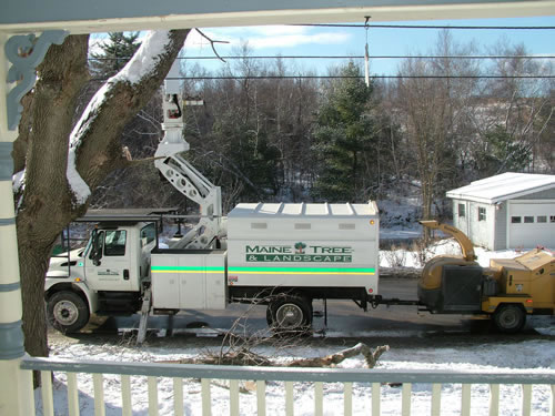 Residential tree removal in Brewer, ME